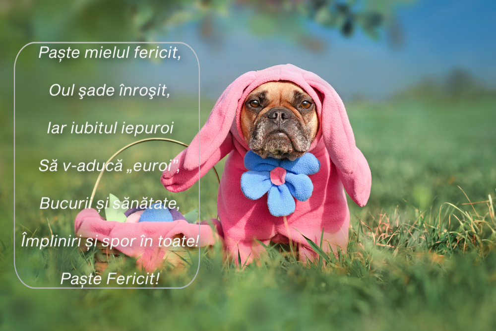 Mesaje de Paște: Cele mai frumoase urări, citate și felicitări pe care ...