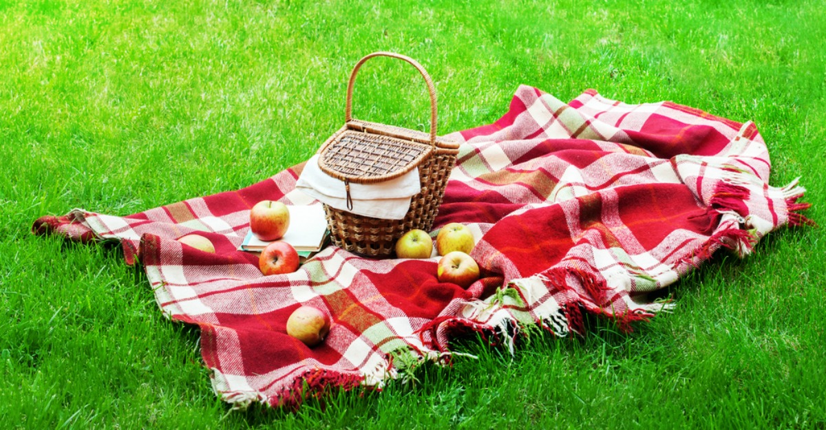 5 pături de picnic pentru odihnă la iarbă verde